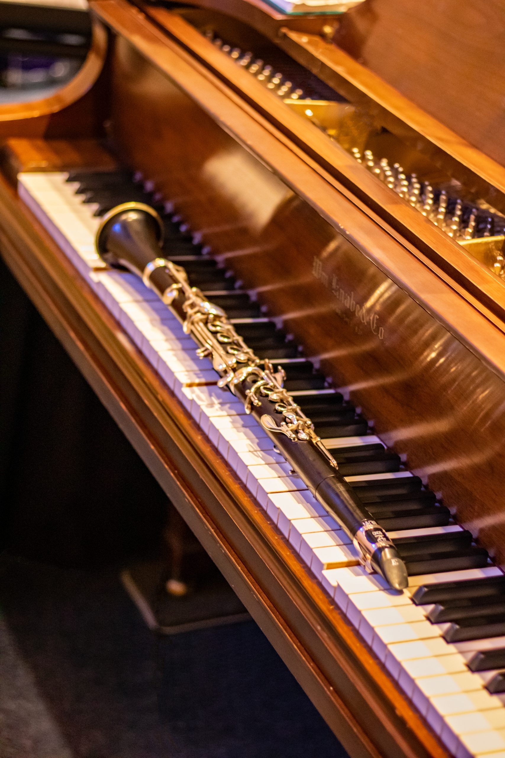 Steve_Anna 2 – Romanza Festivale | St. Augustine, FL Festival of MUSIC and The Arts